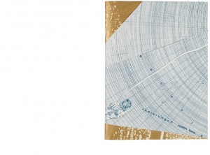 judith lenz – genesis [katalog] « daniel wiesmann büro für gestaltung