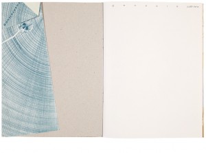judith lenz – genesis [katalog] « daniel wiesmann büro für gestaltung