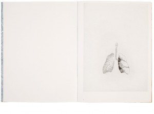 judith lenz – genesis [katalog] « daniel wiesmann büro für gestaltung