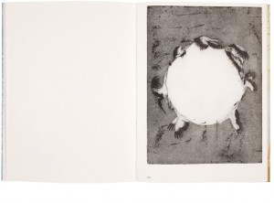 judith lenz – genesis [katalog] « daniel wiesmann büro für gestaltung