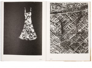 judith lenz – genesis [katalog] « daniel wiesmann büro für gestaltung