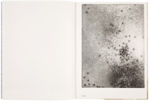 judith lenz – genesis [katalog] « daniel wiesmann büro für gestaltung